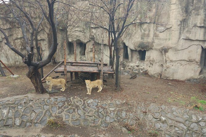 Badaling Wildlife World Private Tour from Beijing - FAQ