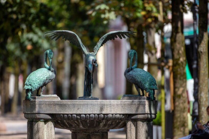 Baden-Baden: History and Thermal Water Guided Walking Tour - A Walk Through Baden-Baden’s Historic Heart