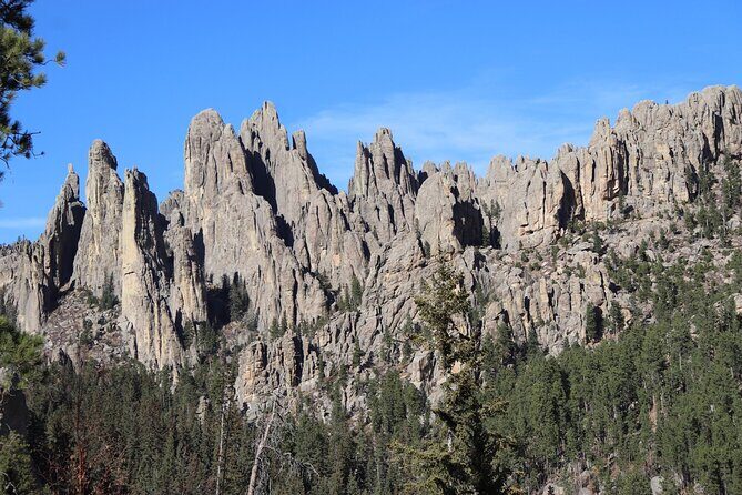 Badlands Alive: A Day in Wild and Wondrous Lands - The Bottom Line: Who Is This Tour For?