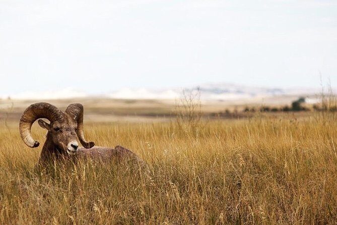 Badlands National Park by Bicycle - Private - FAQ