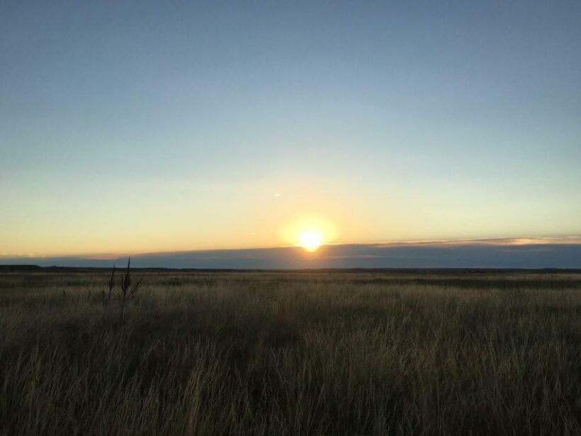 Badlands National Park Private Tour - In The Sum Up