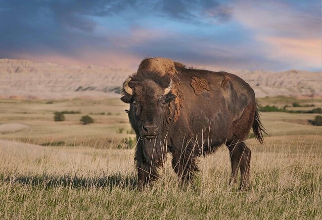 Badlands National Park Self-Guided Driving Audio Tour - Key Points