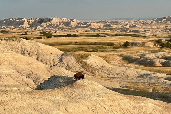 Badlands Sunset & Wildlife: Nature's Evening Glow - FAQs