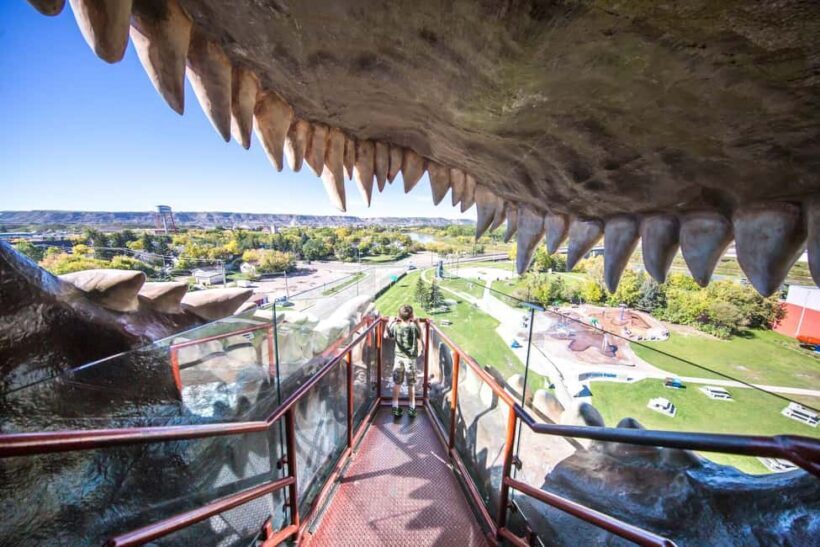 Badlands Tour: Drumheller with Museum, Hoodoos & Coal Mine - Authentic Feedback from Participants