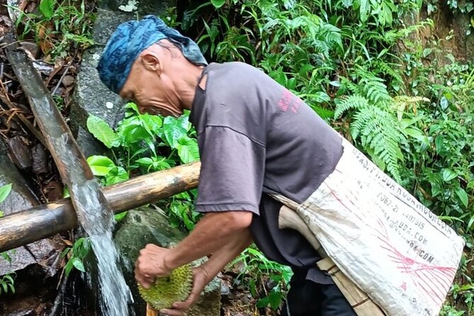 Baduy Tribal Tracker and Village in Private Tour Full Day & Lunch - Who Will Love This Tour?