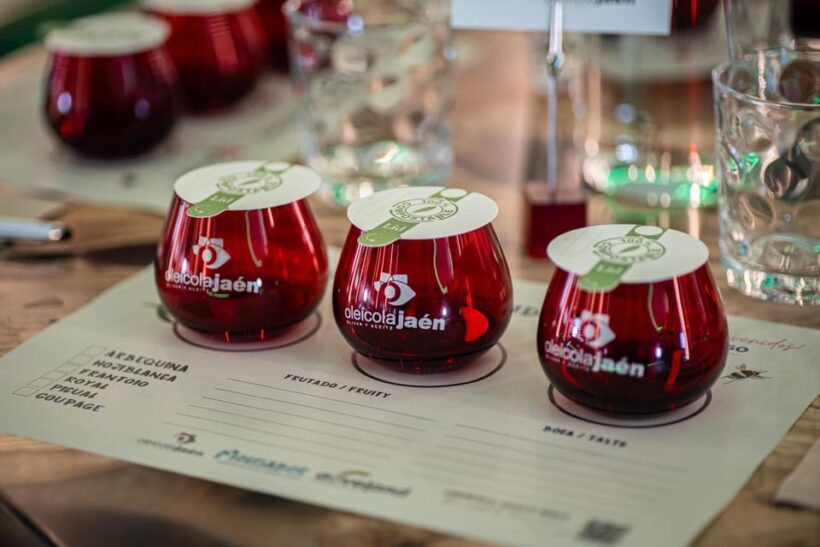Baeza: Olive Oil Mill & Tasting at AOVEland - A Detailed Look at the Experience