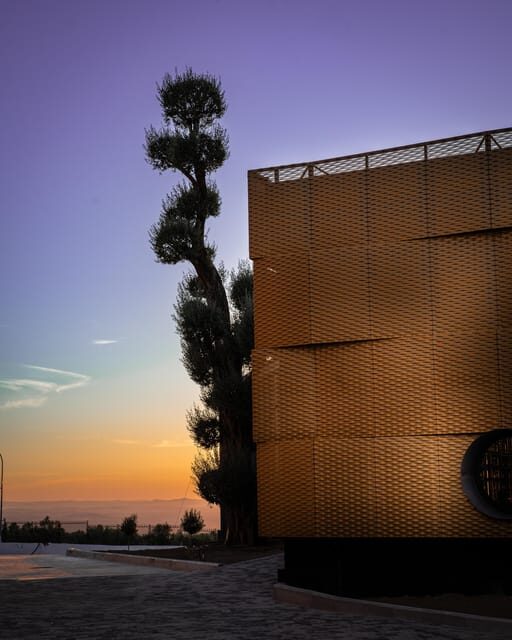 Baeza: Olive Oil Mill & Tasting at AOVEland - Final Thoughts