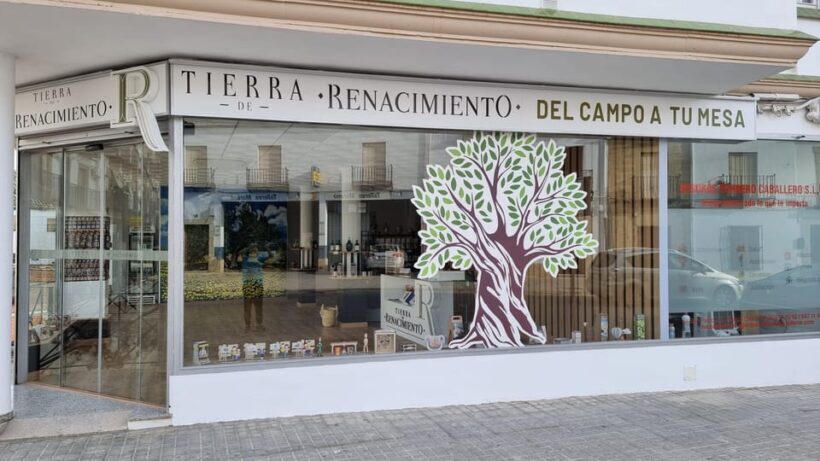 Baeza: Visit to an Ecological Olive Grove + Olive Oil Tasting - Setting the Scene: From Baeza to the Olive Grove
