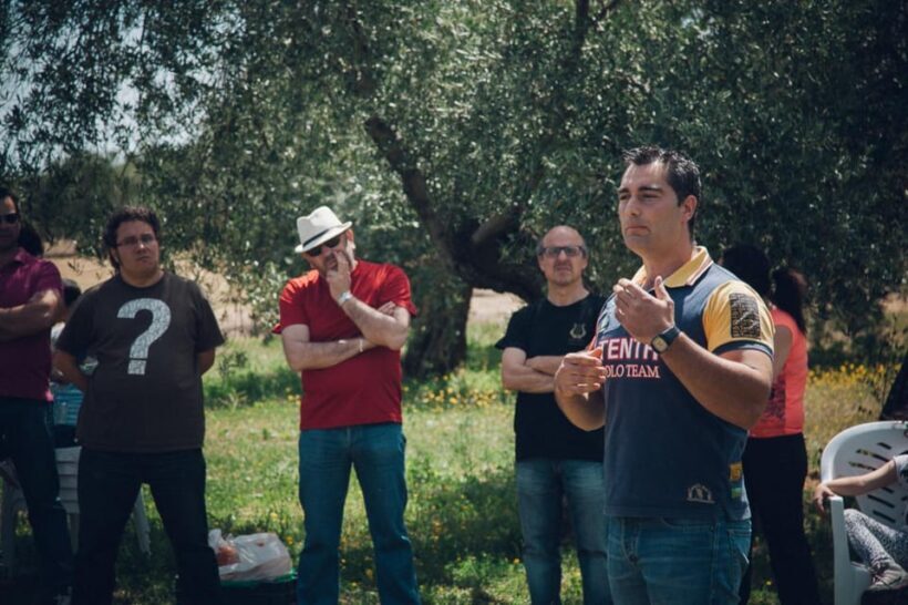 Baeza: Visit to an Ecological Olive Grove + Olive Oil Tasting - Walking Through the Olive Groves
