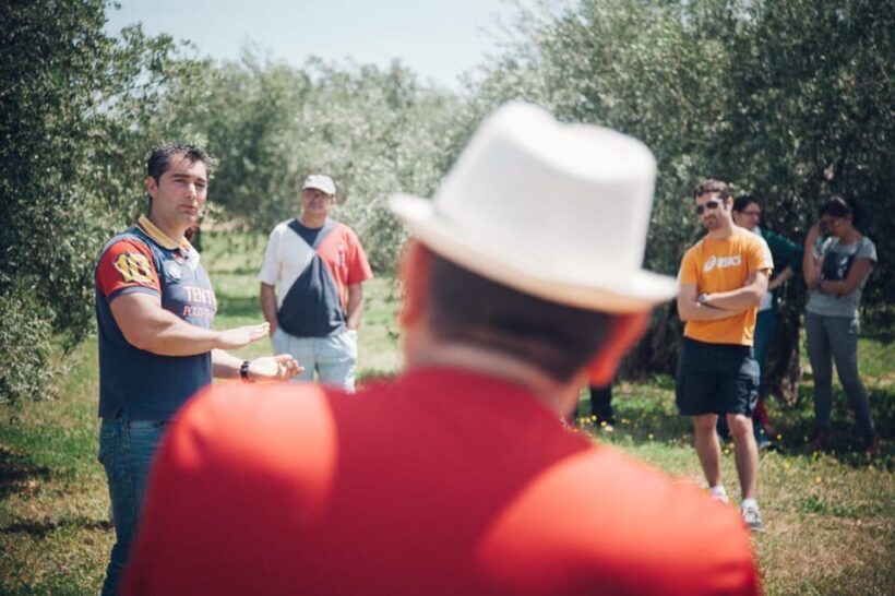 Baeza: Visit to an Ecological Olive Grove + Olive Oil Tasting - Practical Details: What’s Included and How It Works