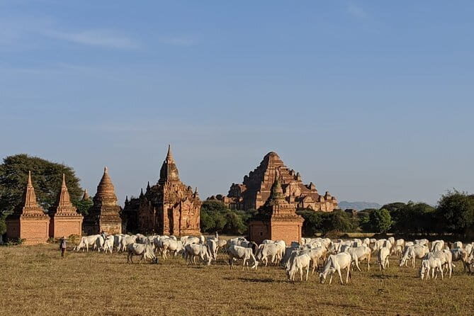 Bagan: Private Full-Day Instagram Highlights Tour - What Makes This Tour Stand Out