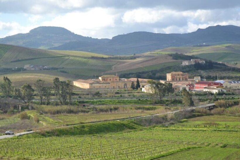 Baglio Florio Adamo: Oil Tasting - What to Expect from the Tour