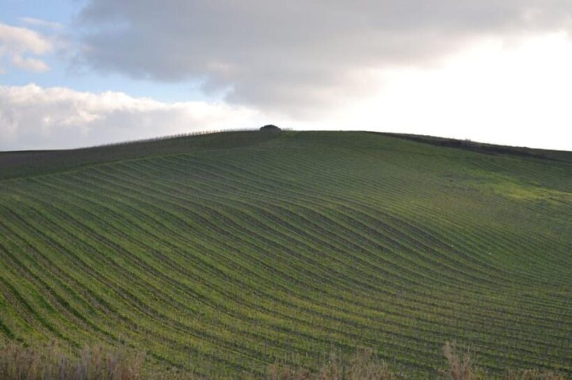 Baglio Florio Adamo: Oil Tasting - Authenticity and Quality: What Travelers Say