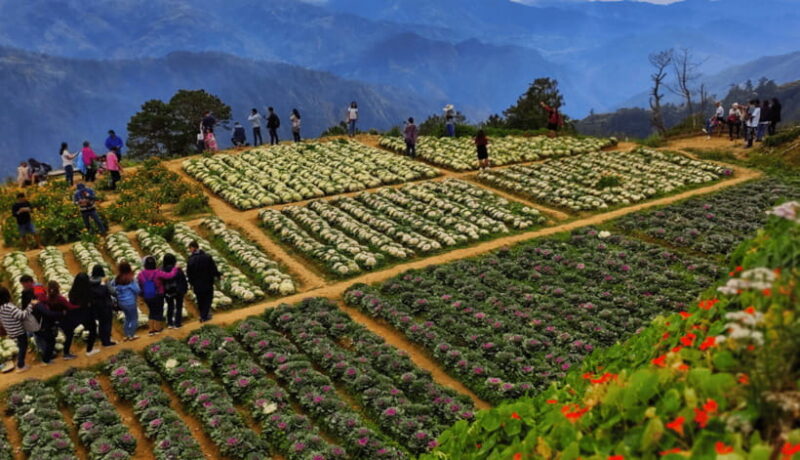 BAGUIO CITY DAY TOUR (FROM MANILA) - Final Thoughts