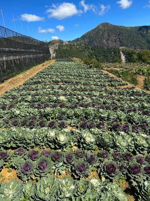 BAGUIO: Culture and Heritage Tour 2D1N - Final Thoughts: Is It Worth It?