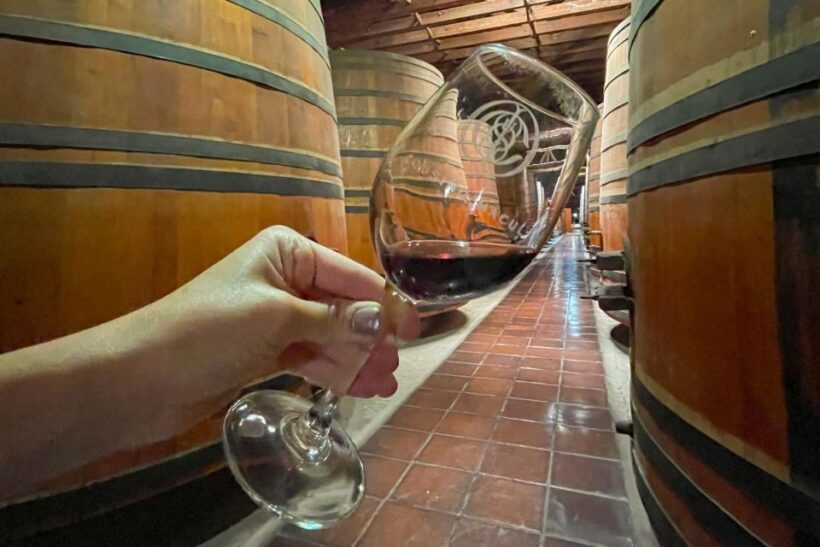 Bahá'i Temple and Cousiño Macul Vineyard - The Sum Up