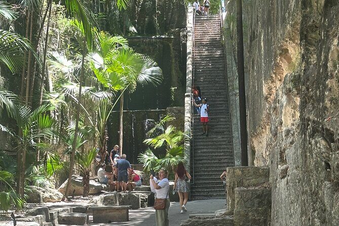 Bahamas Adventure: Number 1 Scooter and Side by Side rentals - What You Can Expect from the Bahamas Adventure Tour