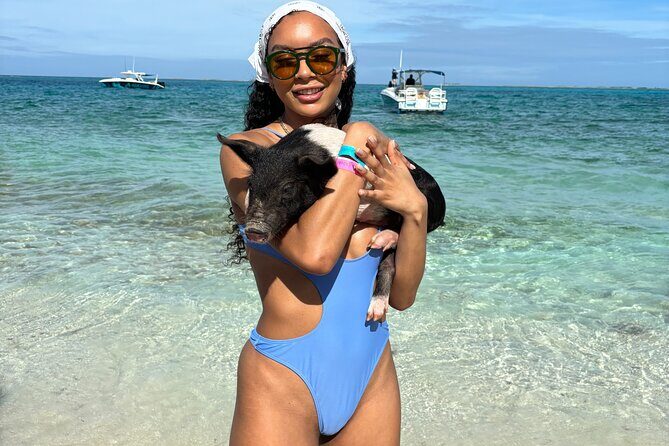 Bahamas Adventure: Pigs, Reef, Turtles, and Beach with Lunch - An In-Depth Look at the Tour