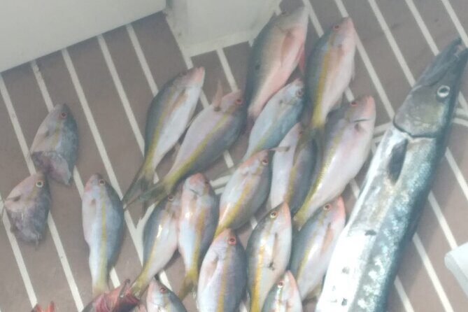 Bahamas Deep Sea Fishing - Key Points