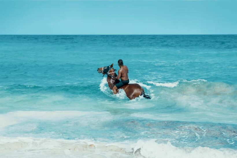 Bahamas: Horseback Riding Adventure on Beaches & Trails - Setting the Scene: An Authentic Bahamian Experience