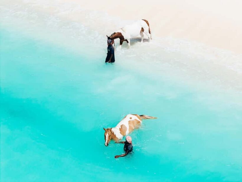 Bahamas: Horseback Riding Adventure on Beaches & Trails - Group Size & Personalization