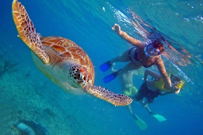 Bahamas Island Private Hopping Adventure - The Sum Up