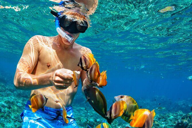 Bahamas Island Private Hopping Adventure - FAQ