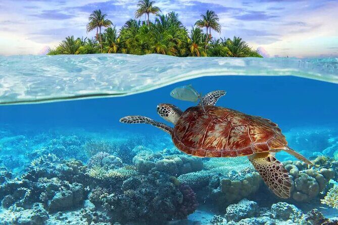 Bahamas Local Water Tours to George Town and Exuma - Authenticity and Traveler Experience