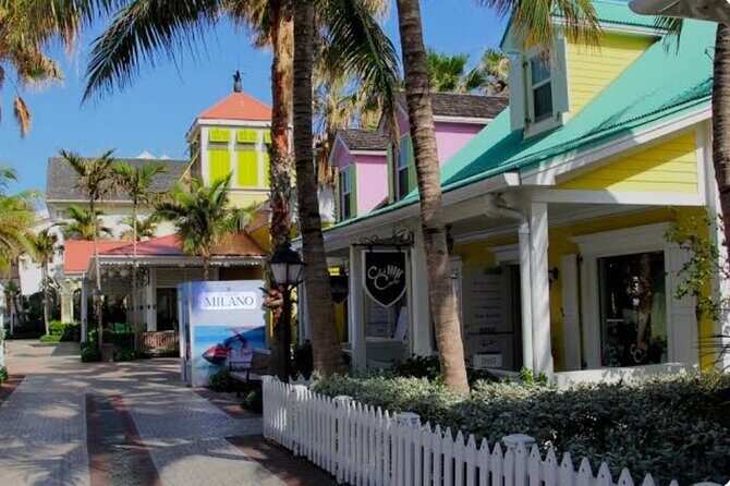 Bahamas Private Minivan Transport - A Detailed Breakdown of the Experience