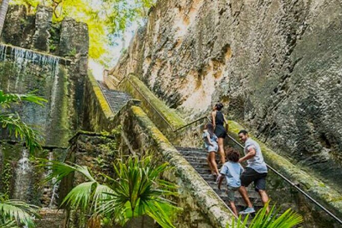 Bahamas Private Minivan Transport - Who Should Book This Service?