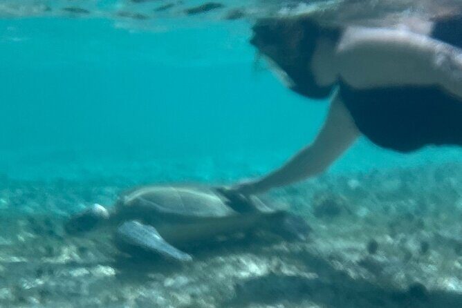 Bahamas Sea Scooter Snorkeling Adventure - Authenticity and Real Experiences