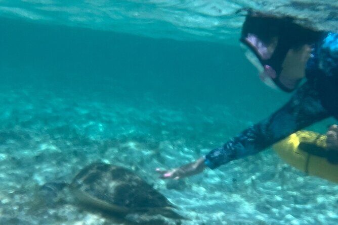 Bahamas Sea Scooter Snorkeling Adventure - The Sum Up