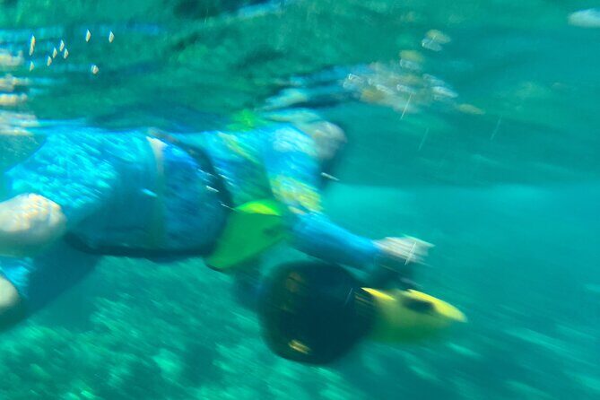 Bahamas Sea Scooter Snorkeling Adventure - FAQs