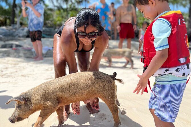 Bahamas Swimming Pigs Experience on Rose Island - What You Can Expect from the Bahamas Swimming Pigs Experience