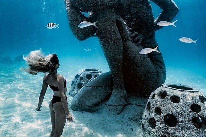 Bahamian Experience Private Beach Getaway - Overview of the Tour Experience