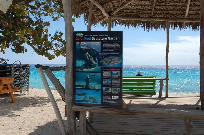 Bahamian Experience Private Beach Getaway - Authenticity and Traveler Perspectives