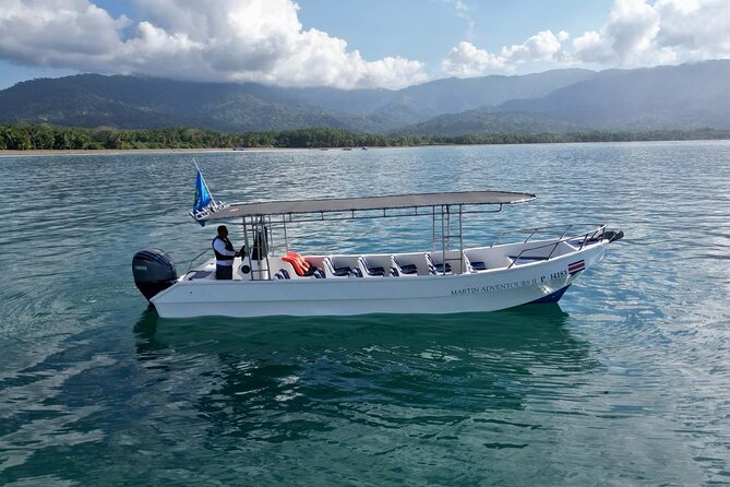 Bahia Ballena Whale and Dolphin Tour - Morning - Key Points