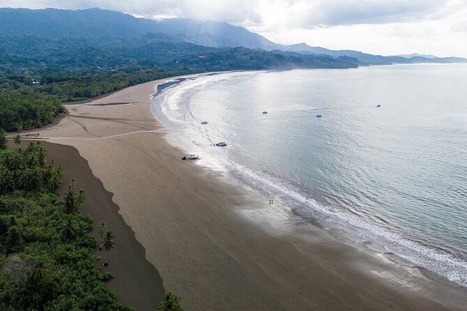 Bahia Ballena Whale and Dolphin Tour - Morning - Onboard Amenities