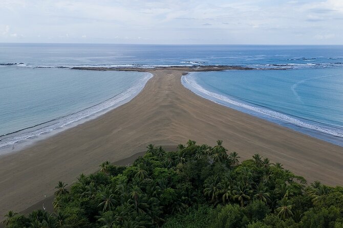 Bahia Ballena Whale and Dolphin Tour - Morning - Guest Feedback