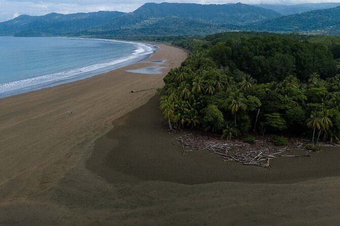 Bahia Ballena Whale and Dolphin Tour - Morning - Booking Information