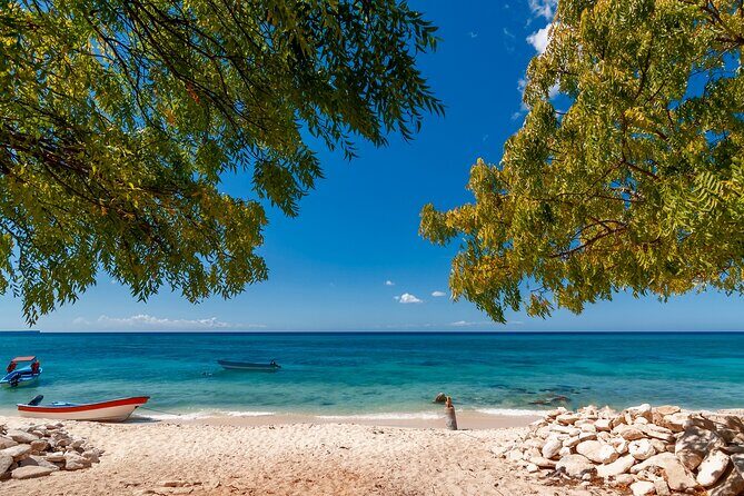 Bahía de las águilas glamping experience from Santo Domingo - Key Points