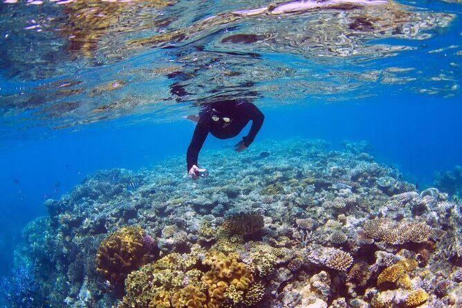 Bahia Principe Fantasia - Round Trip Shuttle - Punta Cana Airport - Who Should Consider This Service?