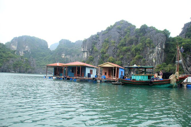 Bai Tu Long Bay Boutique Cruise: Visit Bai Tu Long bay & Overnight boat in 2 day - FAQ