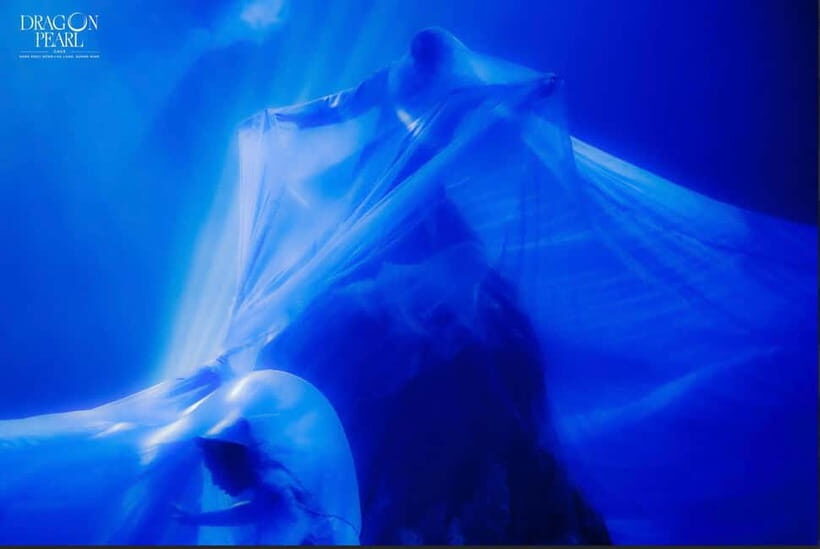 Bai Tu Long Bay: Dining Cave & Immersive Art Show - Discovering Bai Tu Long Bay: A Natural and Cultural Marvel