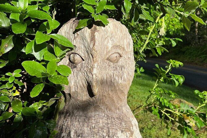 Bainbridge Island Discovery and Whiskey tasting Tour - The Value Proposition