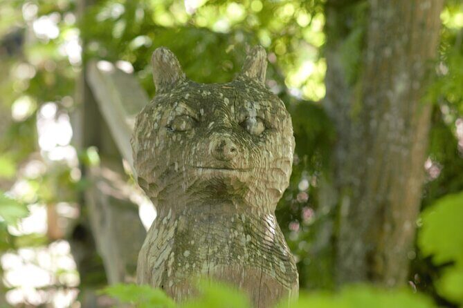 Bainbridge Island Discovery and Wine Tour - FAQ