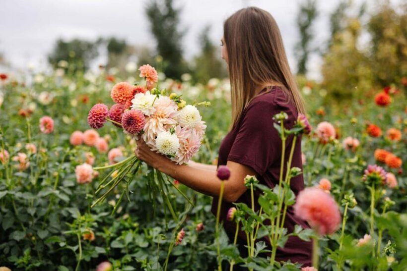 Bainbridge Island Discovery and Wine Tour - FAQ