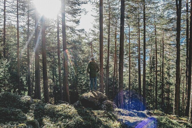 Bainbridge Island Serenity Forest Hike & Cultural Landmarks Tour - A Detailed Look at the Tour Experience