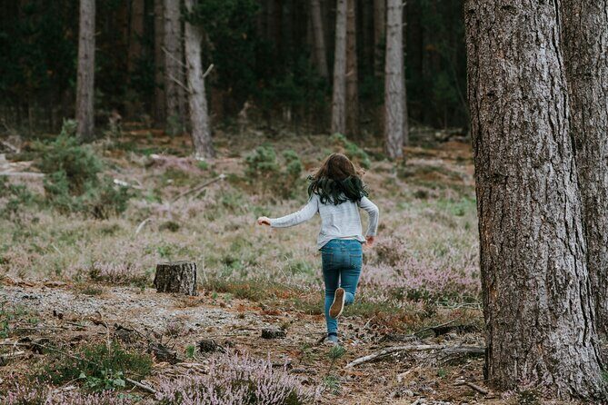 Bainbridge Island Serenity Forest Hike & Cultural Landmarks Tour - The Sum Up: Who Will Love This Tour?