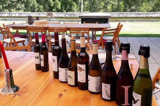 Bairrada is Sparkling wine and more - What Makes This Tour Stand Out?